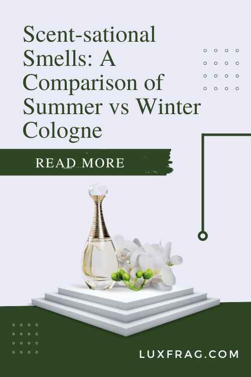 Scent sational Smells A Comparison Of Summer Vs Winter Cologne