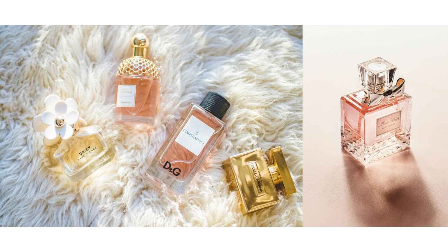 Perfume Clone vs Original: Uncovering the Pros and Cons of Both Options ...